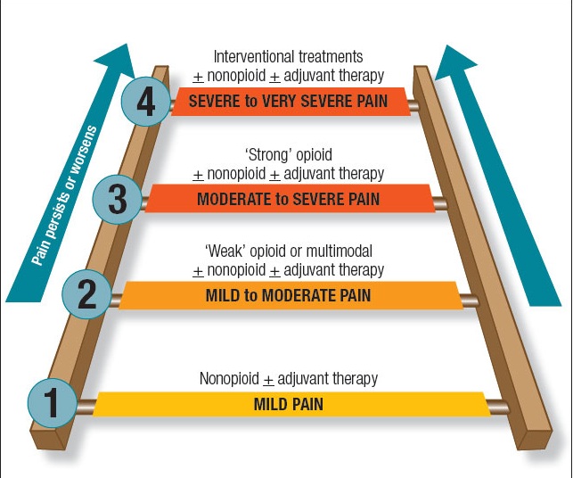 Step Ladder For Pain Management at Alice Hager blog
